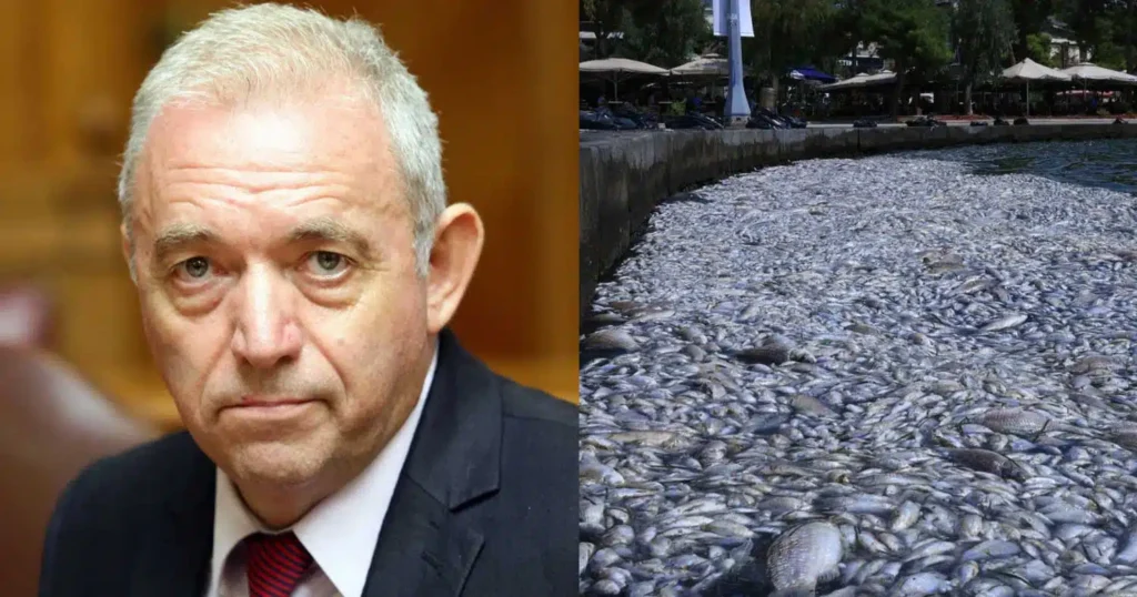 ψάρια στο… Ο Ευθύμης Λέκκας είπε τη δραματική αλήθεια για τα νεκρά ...