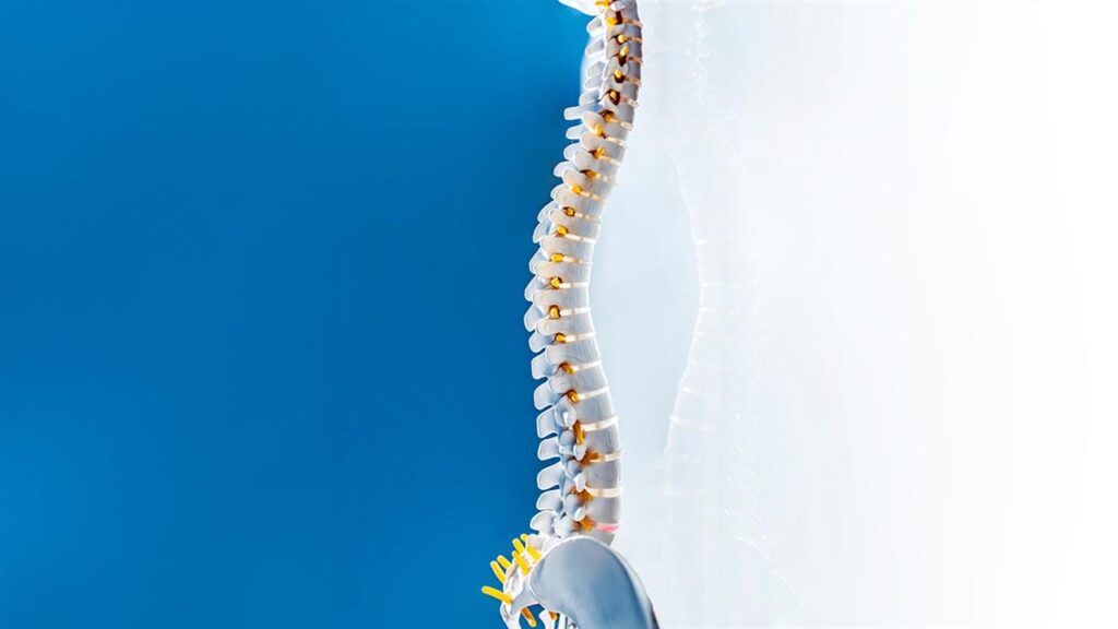 Οστεοπόρωση: Ό,τι χρειάζεται να γνωρίζετε | 12vima