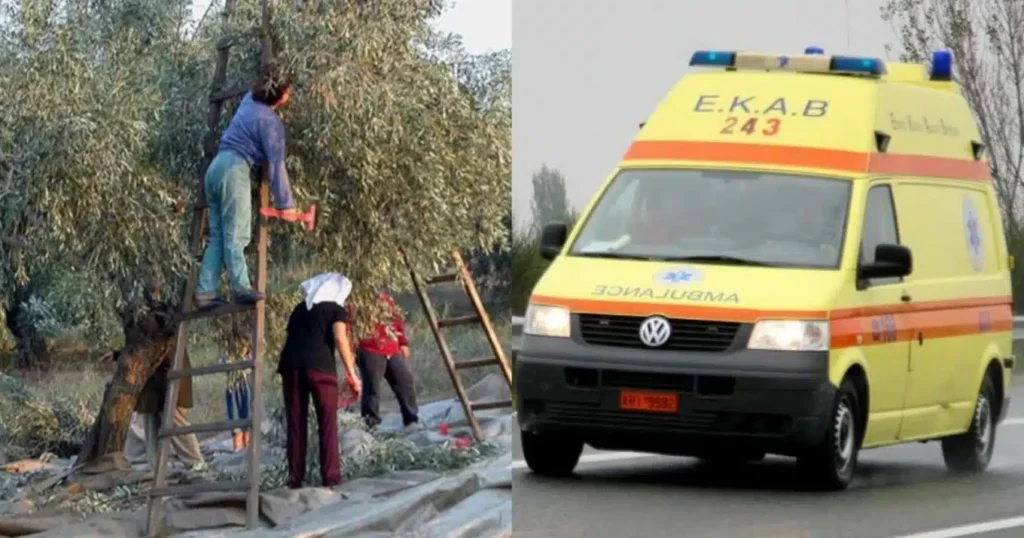 Σοκ: Νεκρός 48χρονος την ώρα που ράβδιζε ελιές στο χωράφι – Ειχε τον ...